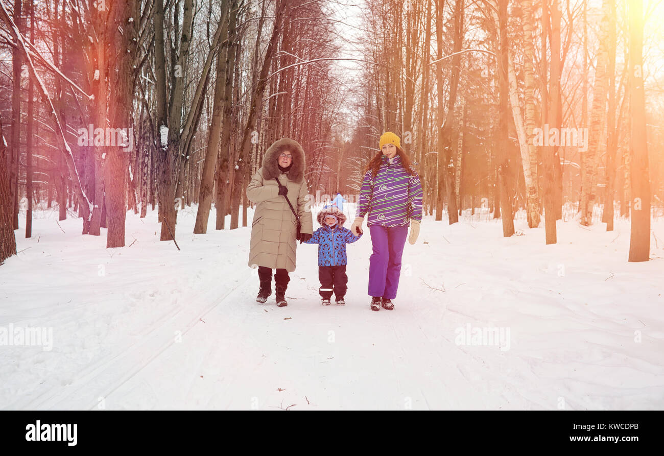 Winter park under the snow. January morning walk through the forest ...