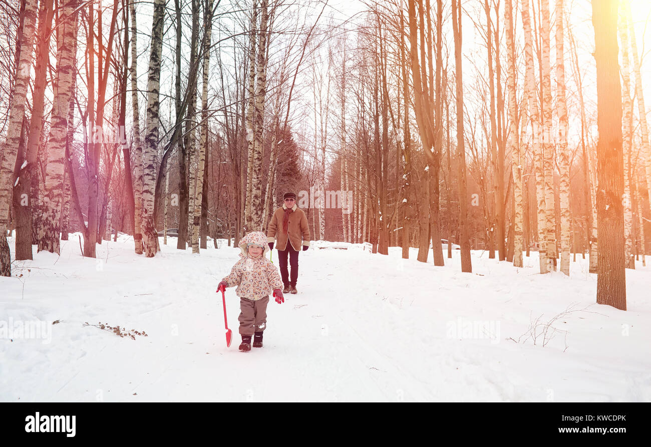 Winter park under the snow. January morning walk through the forest ...