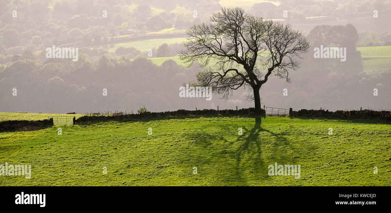 Alport heights hi-res stock photography and images - Alamy