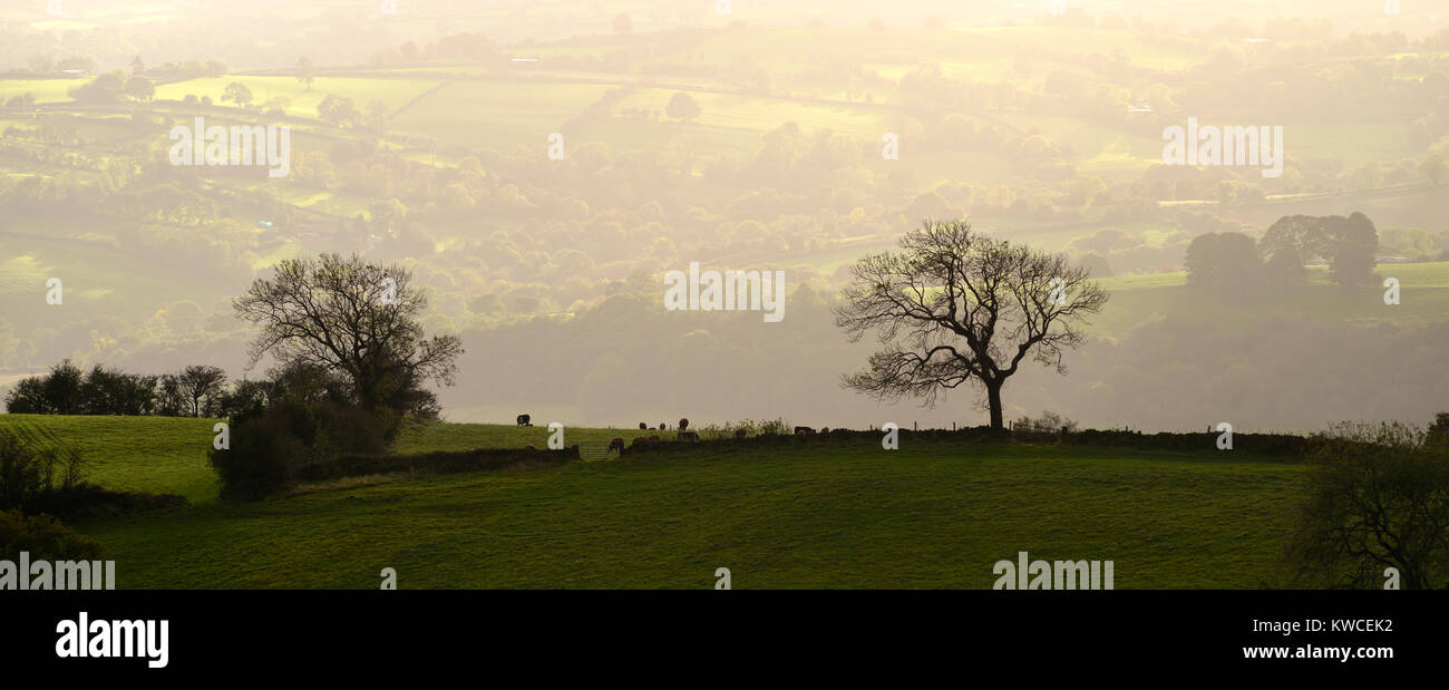 Into the light, Alport Height Stock Photo - Alamy