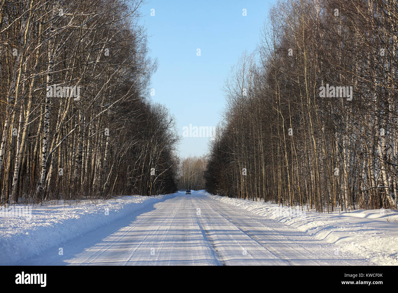 empty rural road in a forest in winter sunny day Stock Photo - Alamy