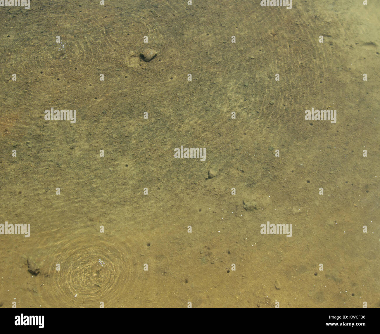 Sand and water background of a beach Stock Photo - Alamy