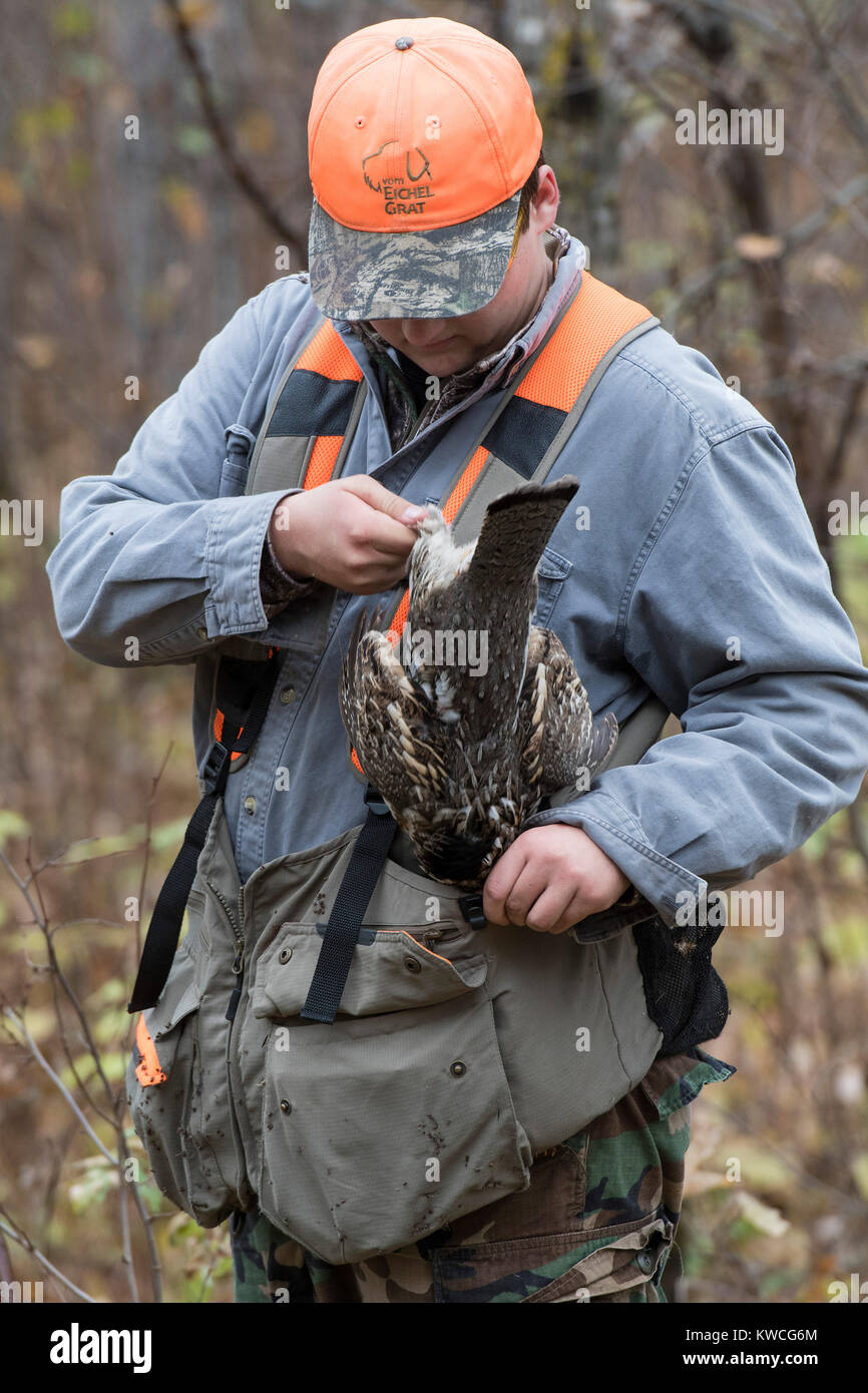A young ruffed grouse hunter in Minnesota Stock Photo - Alamy