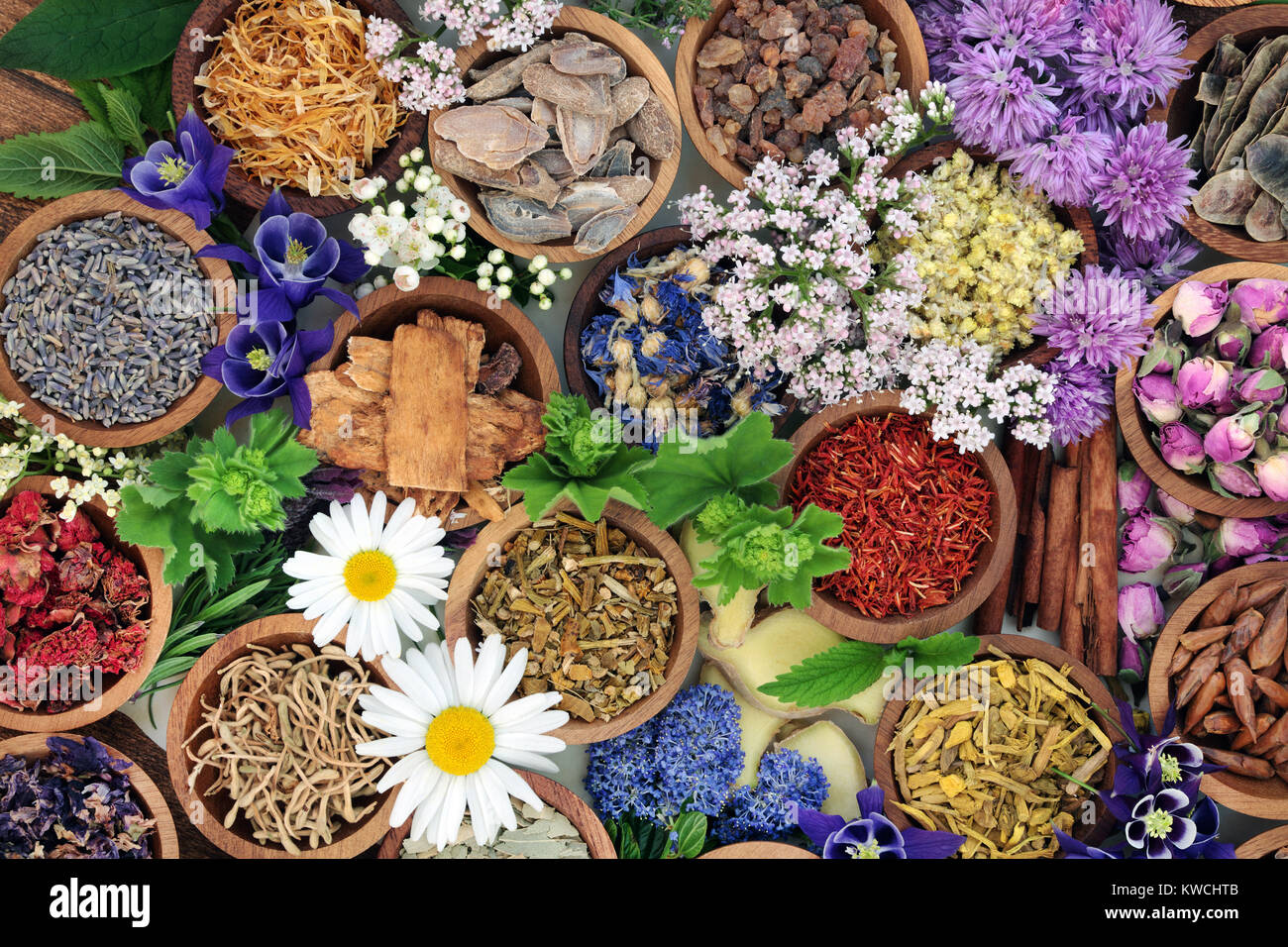 Herbal medicine with herbs and flowers used in chinese and natural ...
