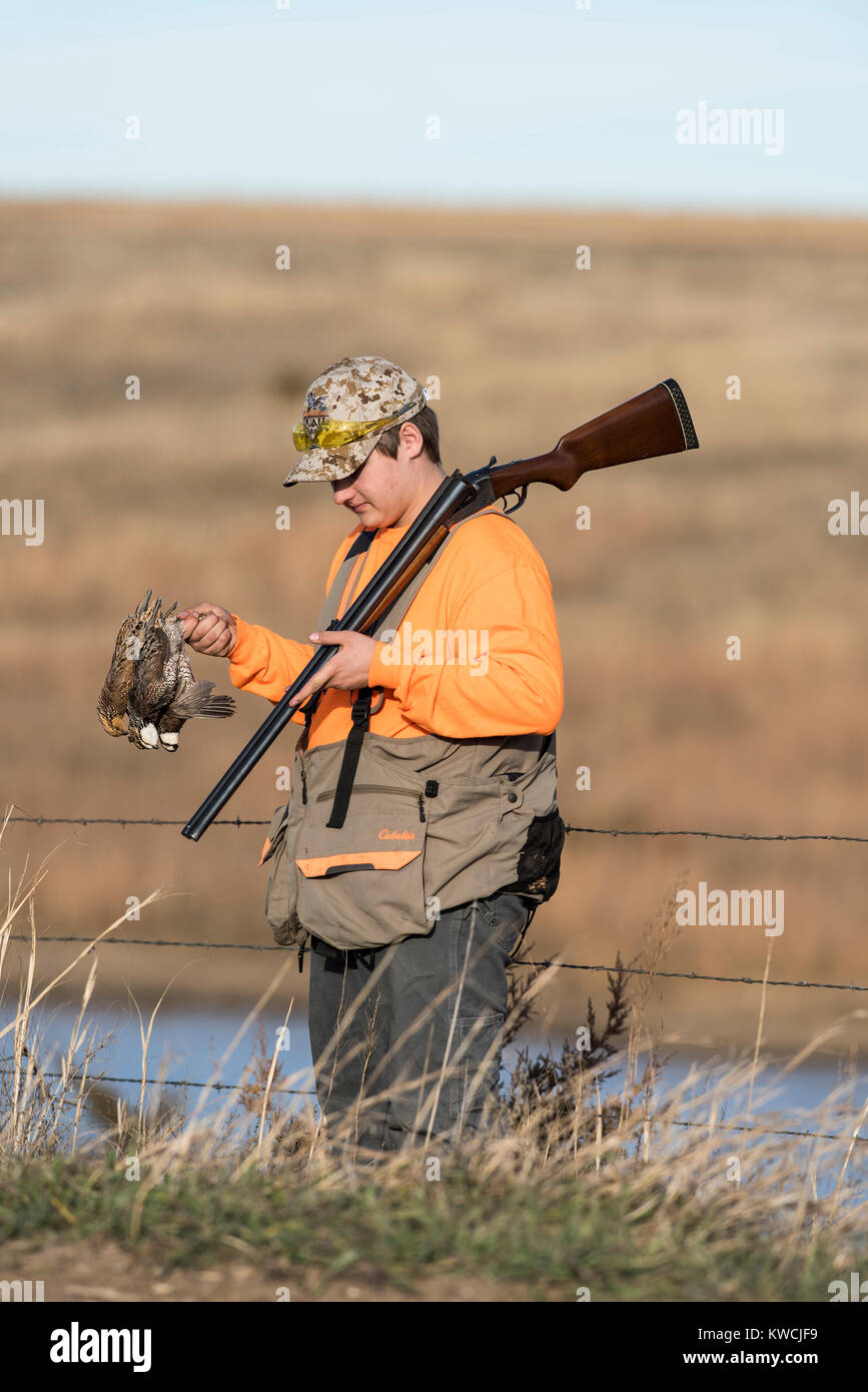 A young Quail hunter in Kansas on a late Autumn day with Bobwhite Quail ...