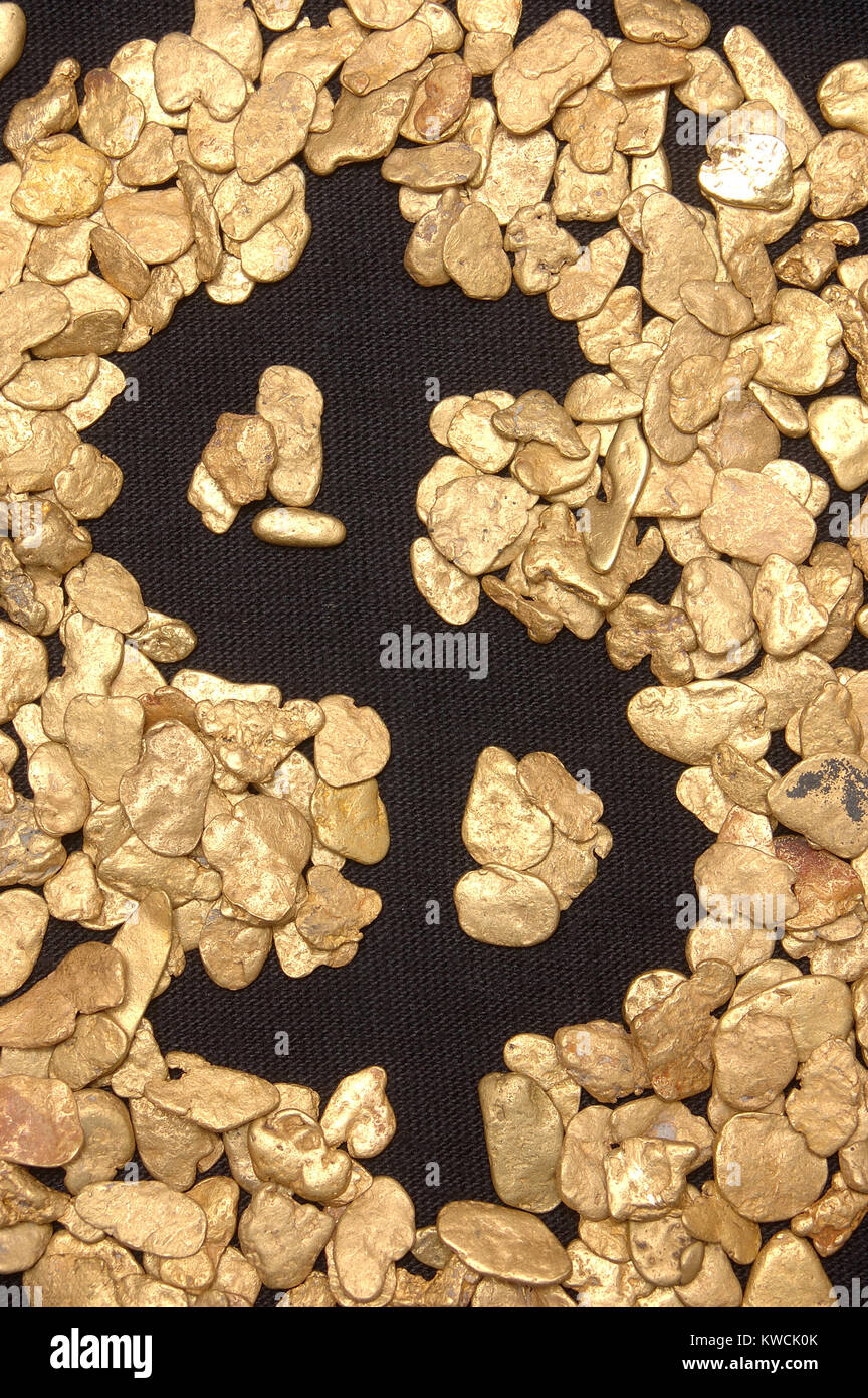 Dollar sign set in natural gold nuggets from Westland, New Zealand ...