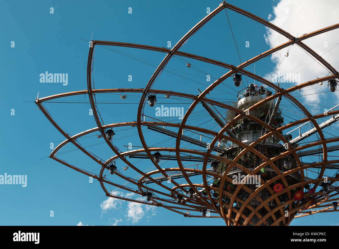 Tree life tower universal hi-res stock photography and images - Alamy