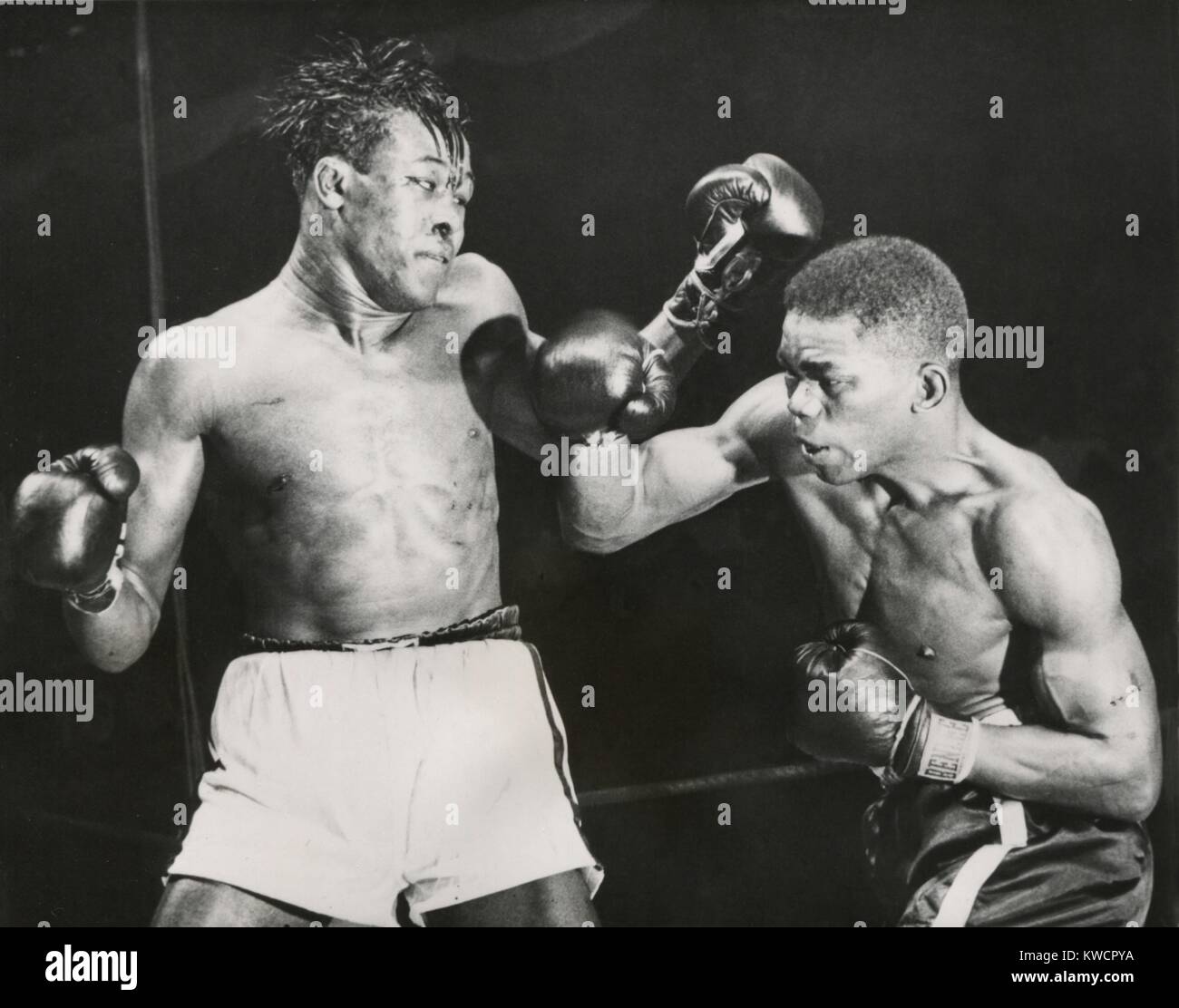 Ike Williams (right) vs. Kid Gavilan in Madison Square Garden. Gavilan ...