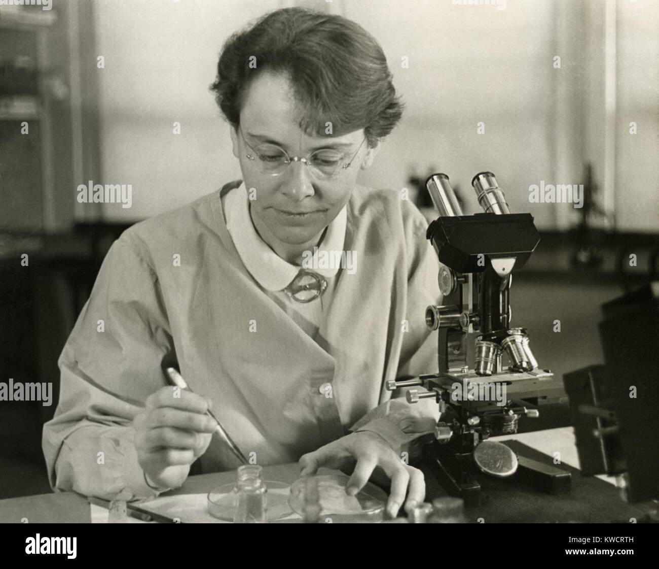 Barbara McClintock, in her laboratory at Cold Spring Harbor, New York ...
