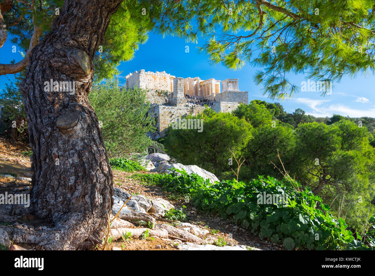 Acropolis with Parthenon. View through a frame of green plants and ...