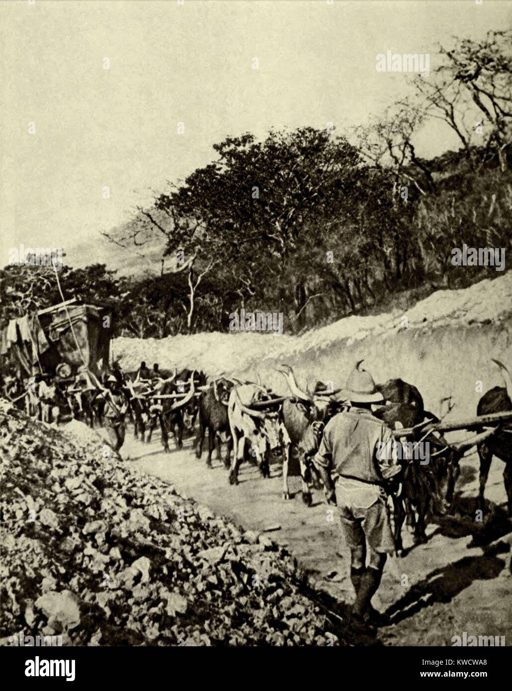 Africa train ww1 hi-res stock photography and images - Alamy