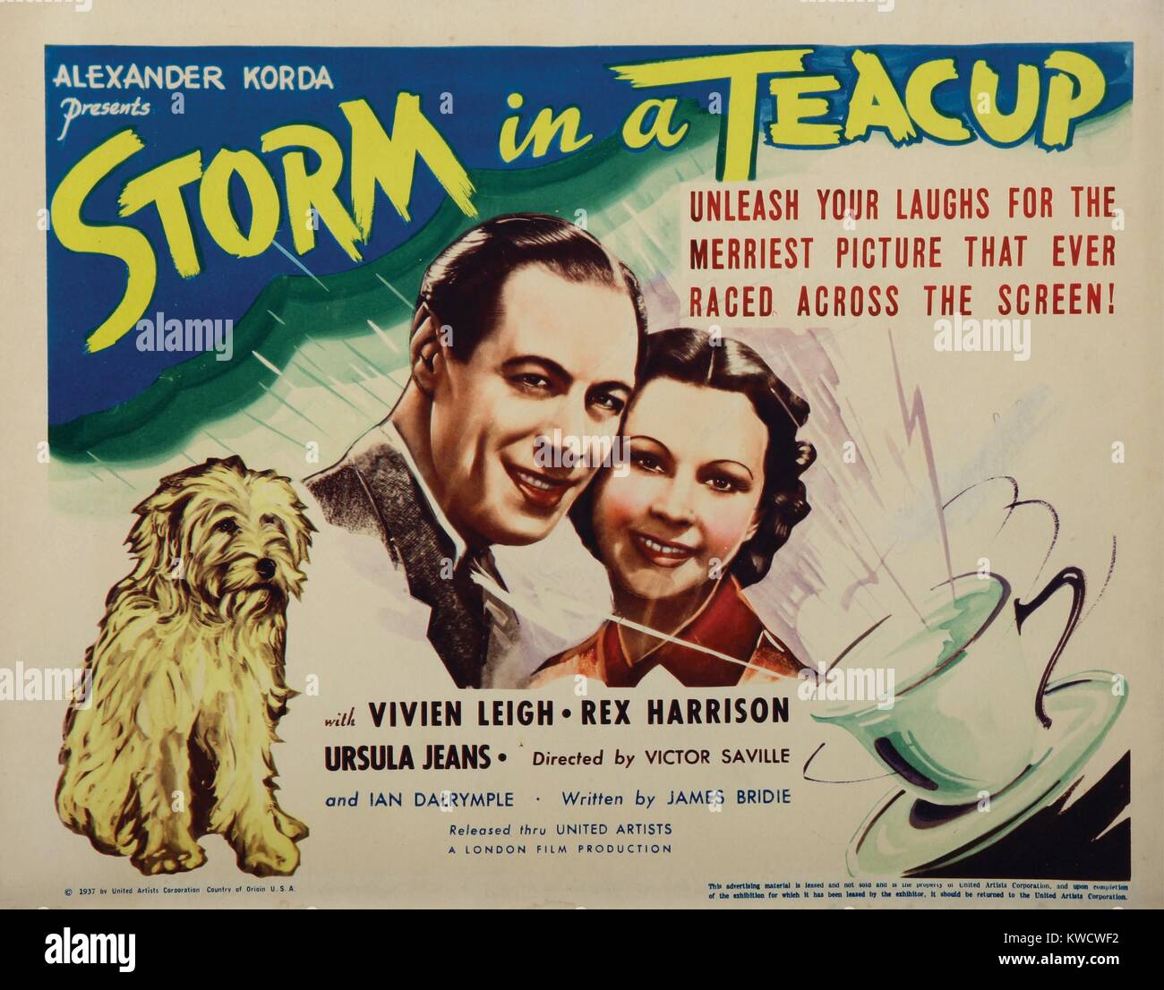 STORM IN A TEACUP, from left: Rex Harrison, Vivien Leigh, 1937 Stock ...