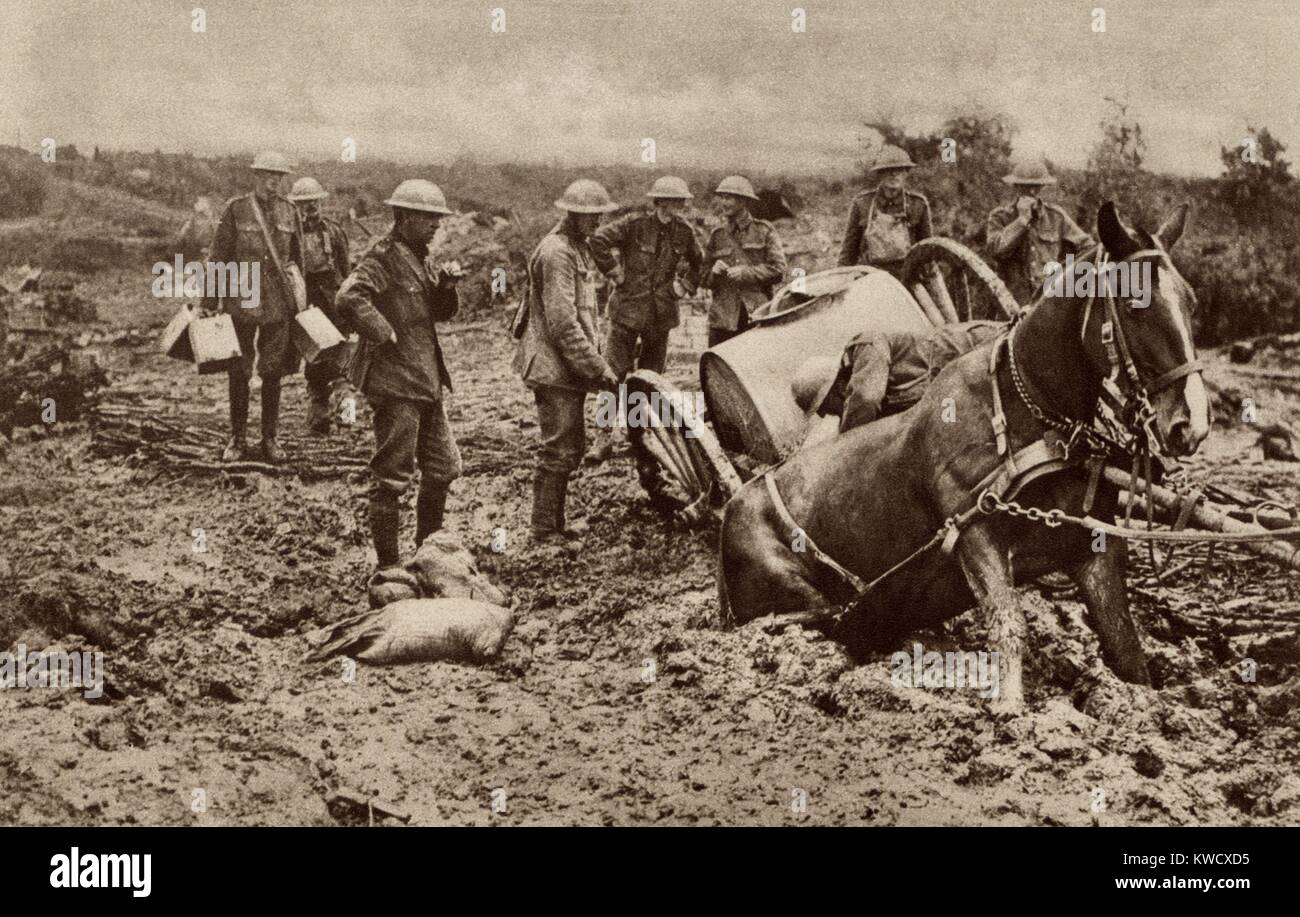 World war 1 soldiers mud hi-res stock photography and images - Alamy