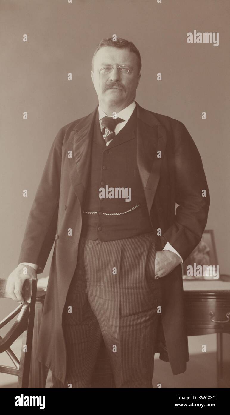President Theodore Roosevelt in 1902 portrait by Frances Benjamin ...