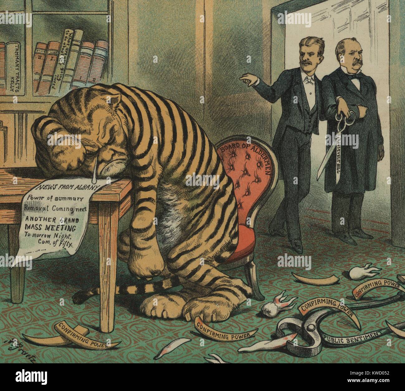 Tammany tiger hi-res stock photography and images - Alamy