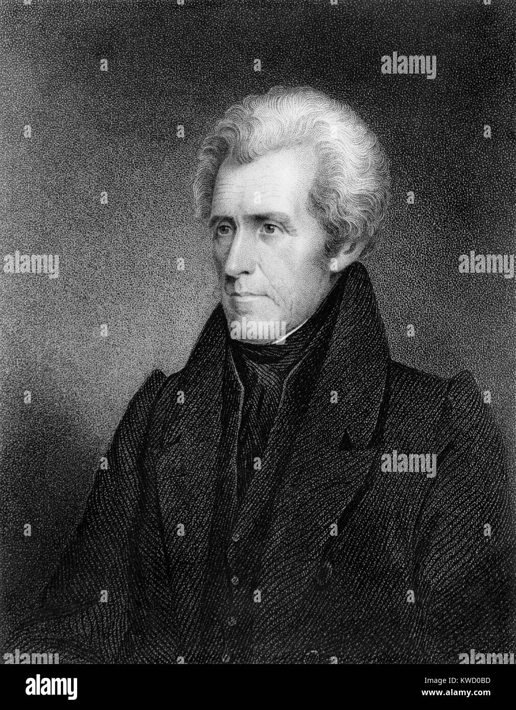 Andrew jackson political party hi-res stock photography and images - Alamy