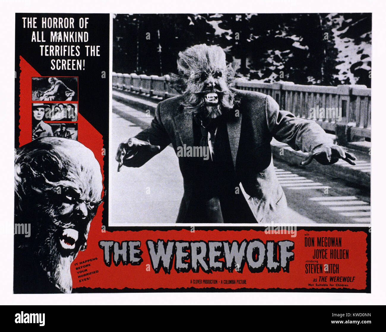 THE WEREWOLF, US lobbycard, Steven Ritch, 1956 Stock Photo - Alamy
