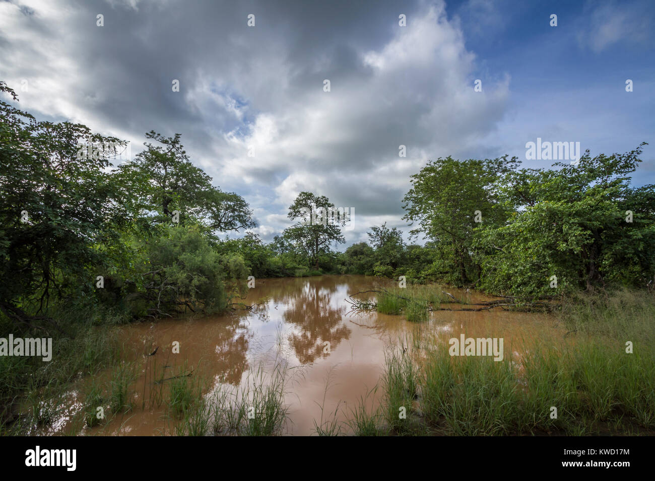 Raining season hi-res stock photography and images - Alamy