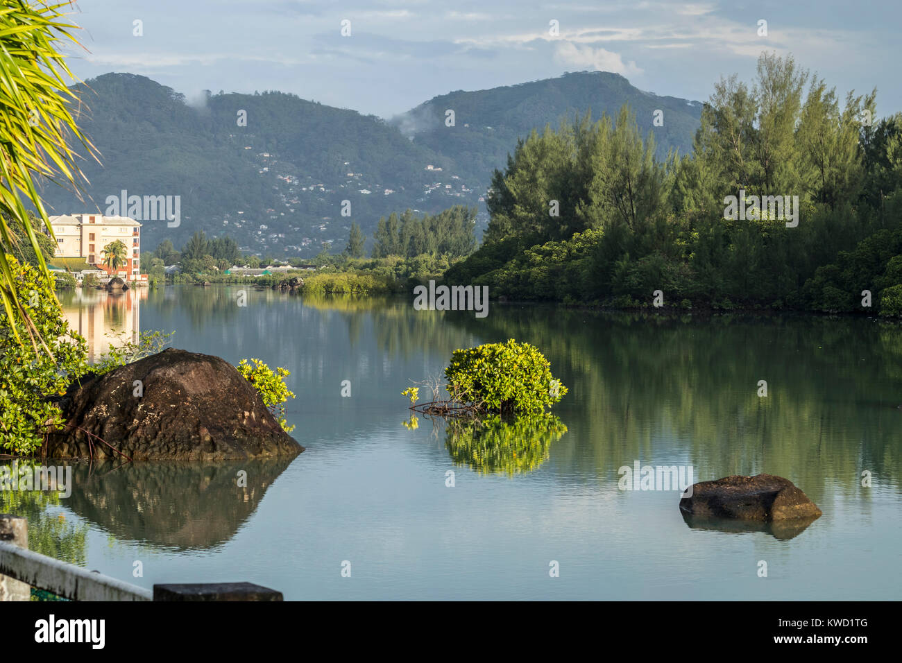 Lagoon at Roche Caiman district Stock Photo - Alamy