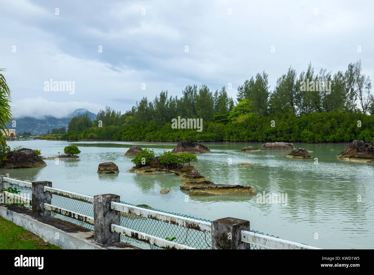 Lagoon at Roche Caiman district Stock Photo - Alamy