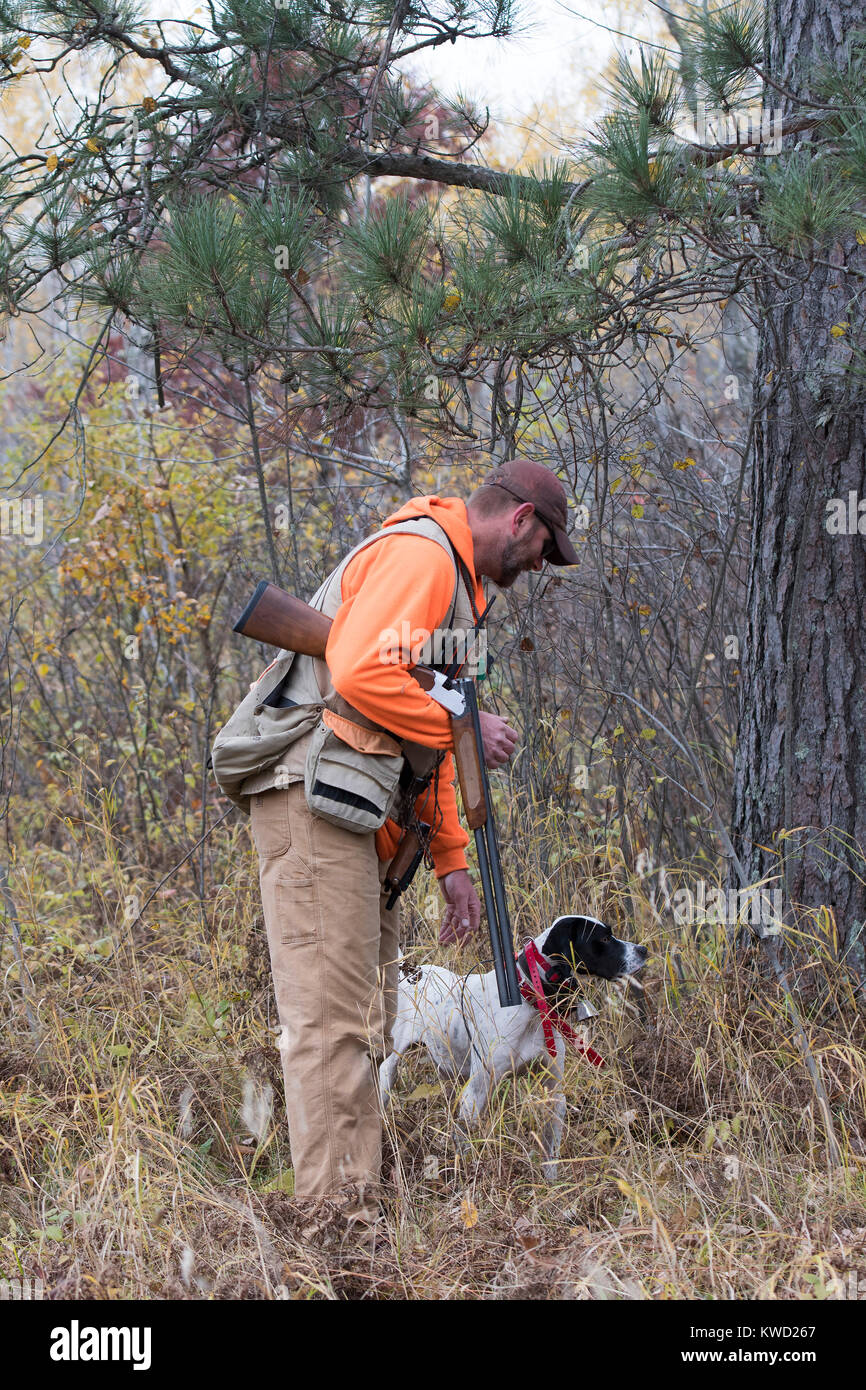 A hunter and his English Pointer while grouse hunting Stock Photo - Alamy