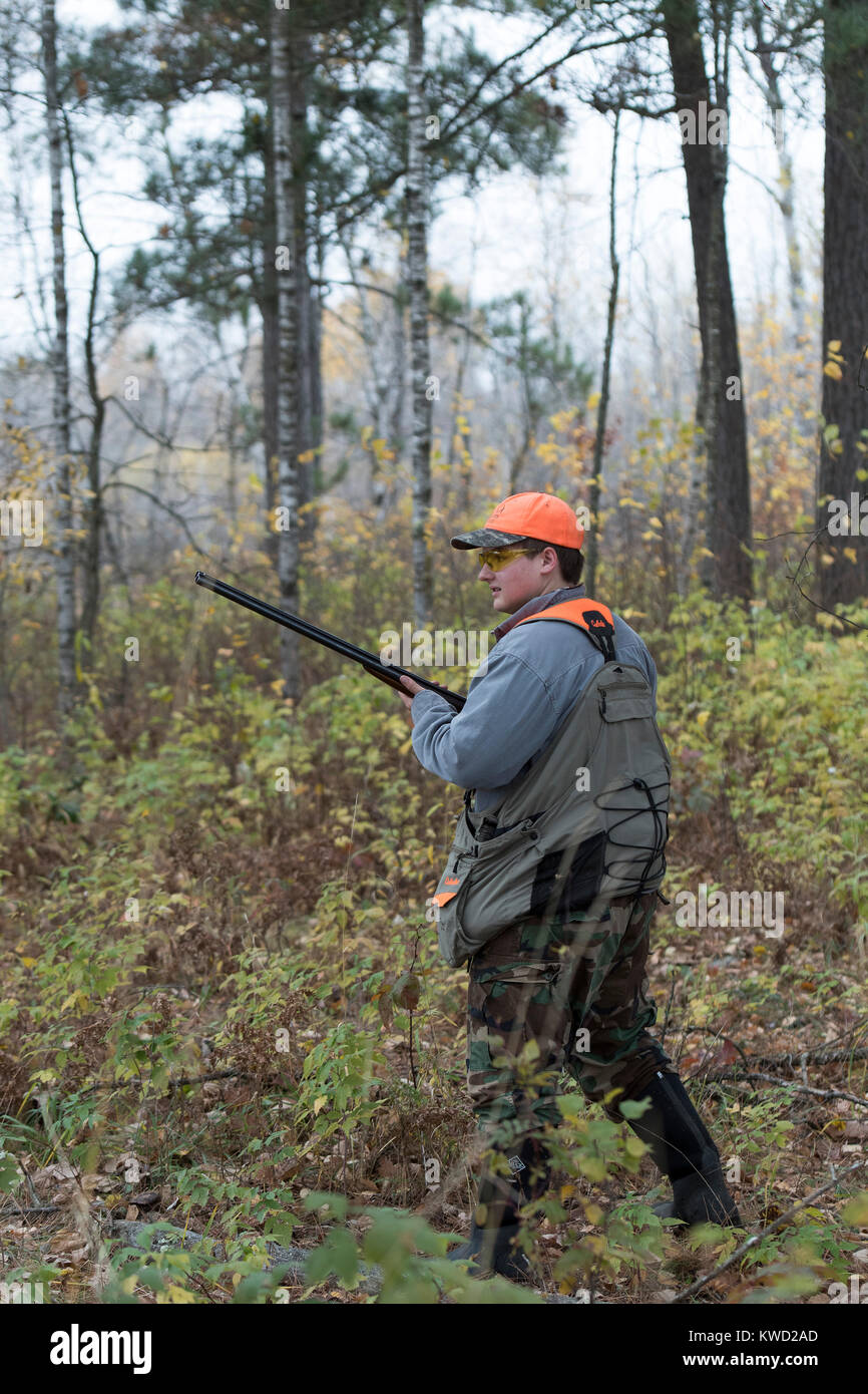 A young ruffed grouse hunter in Minnesota Stock Photo - Alamy