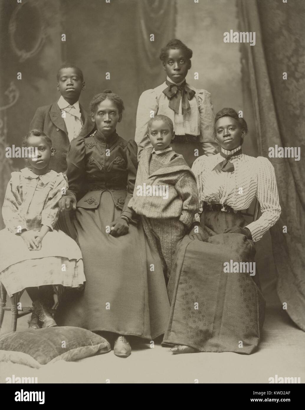 American crow mob hi-res stock photography and images - Alamy