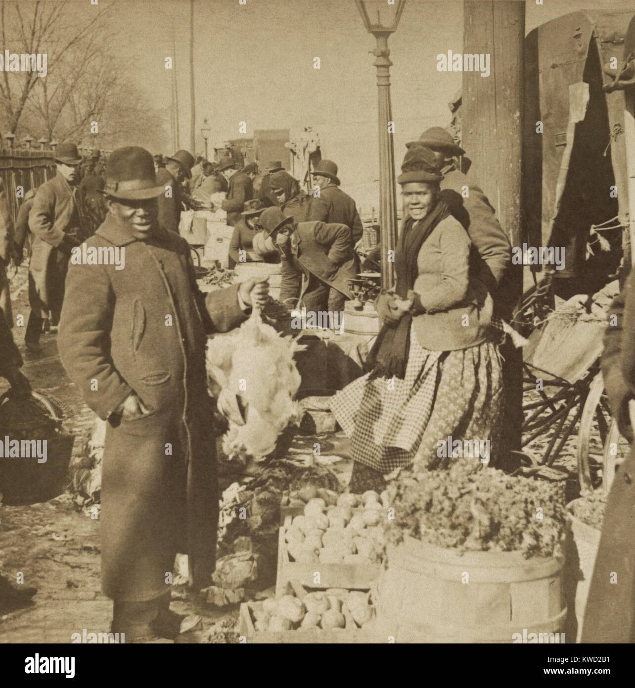 African american farmers 1880s hi-res stock photography and images - Alamy