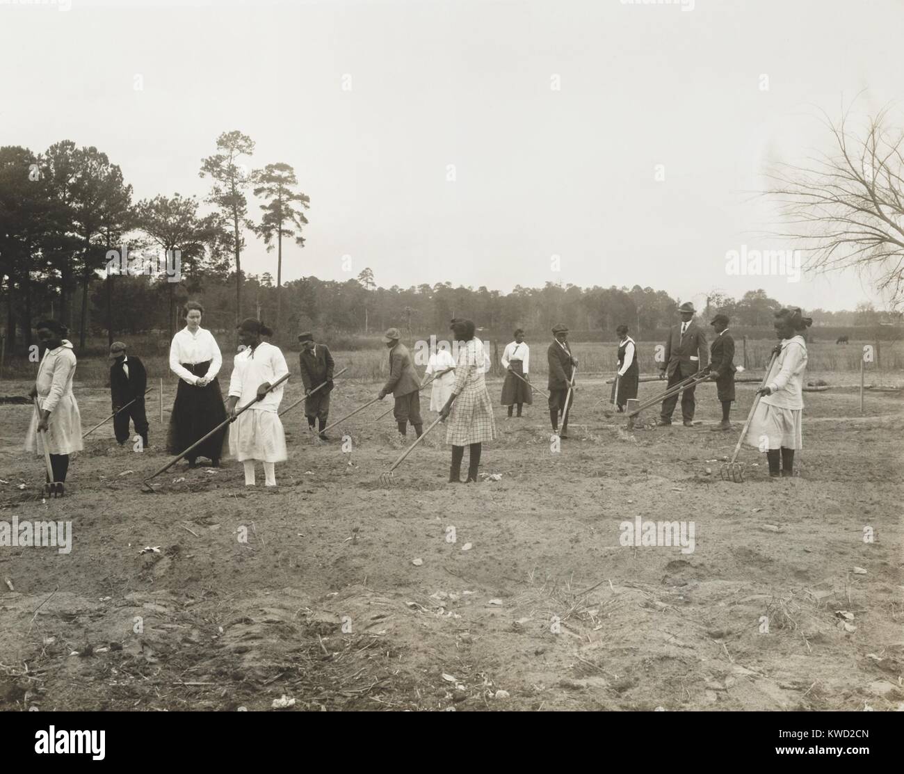 African american training of teachers hi-res stock photography and ...