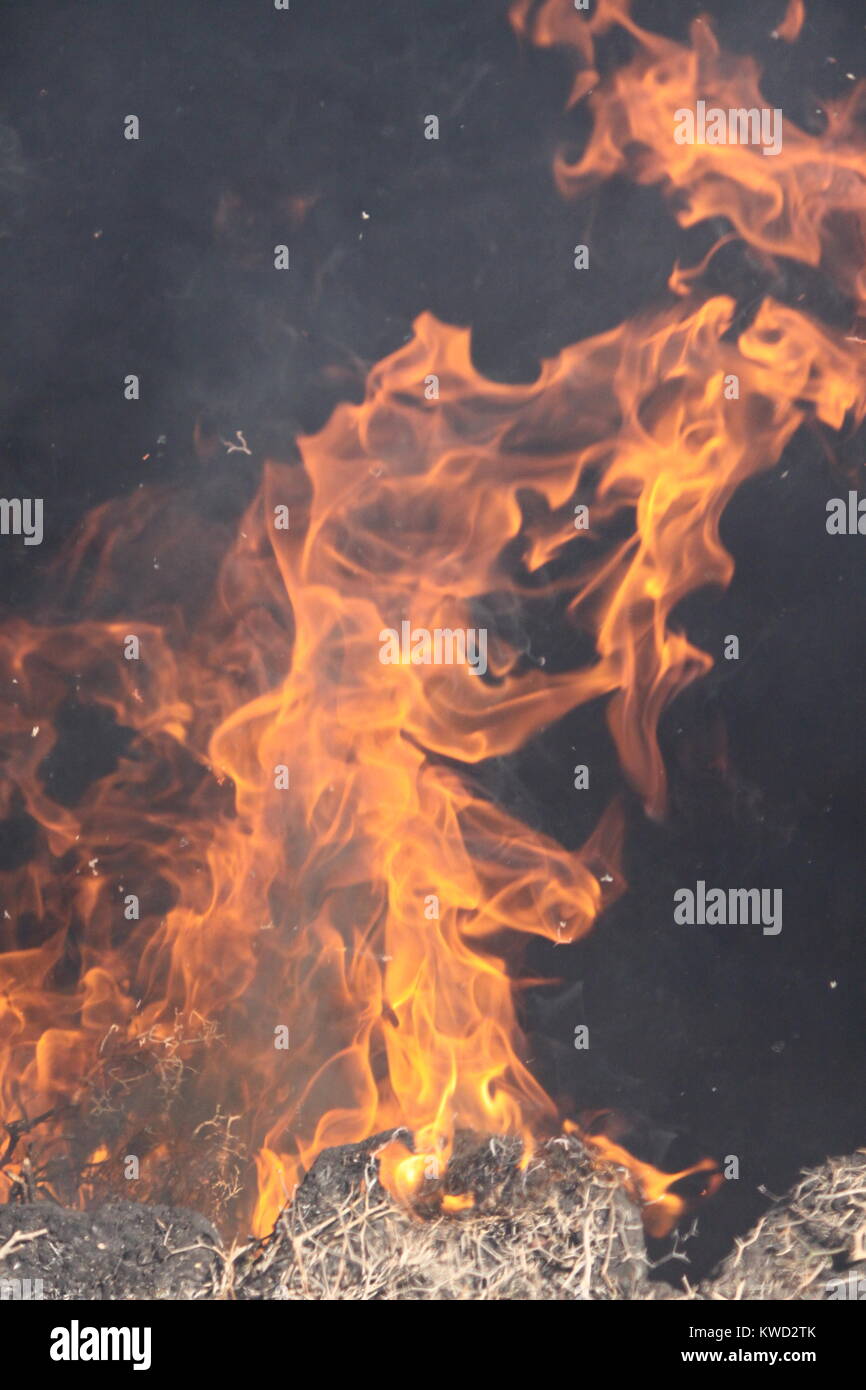 Fire Flames against dark background Stock Photo - Alamy