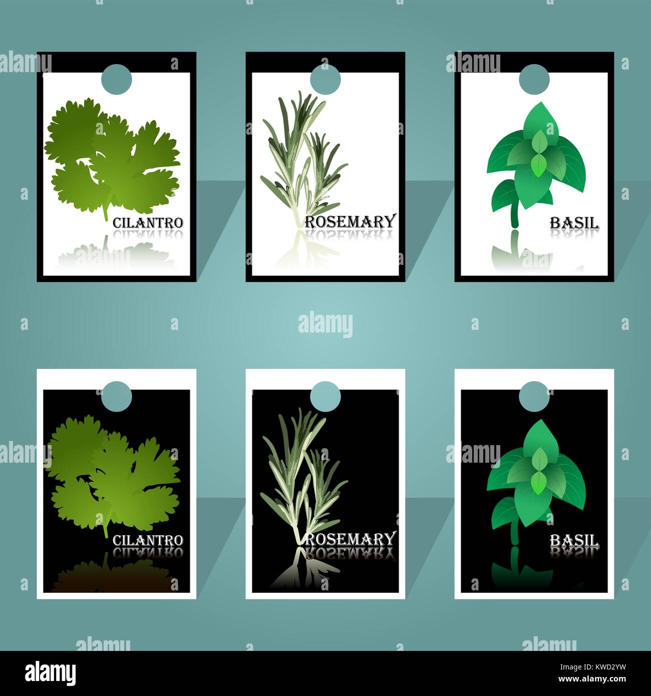 Labels with seasonings Stock Vector Image & Art - Alamy