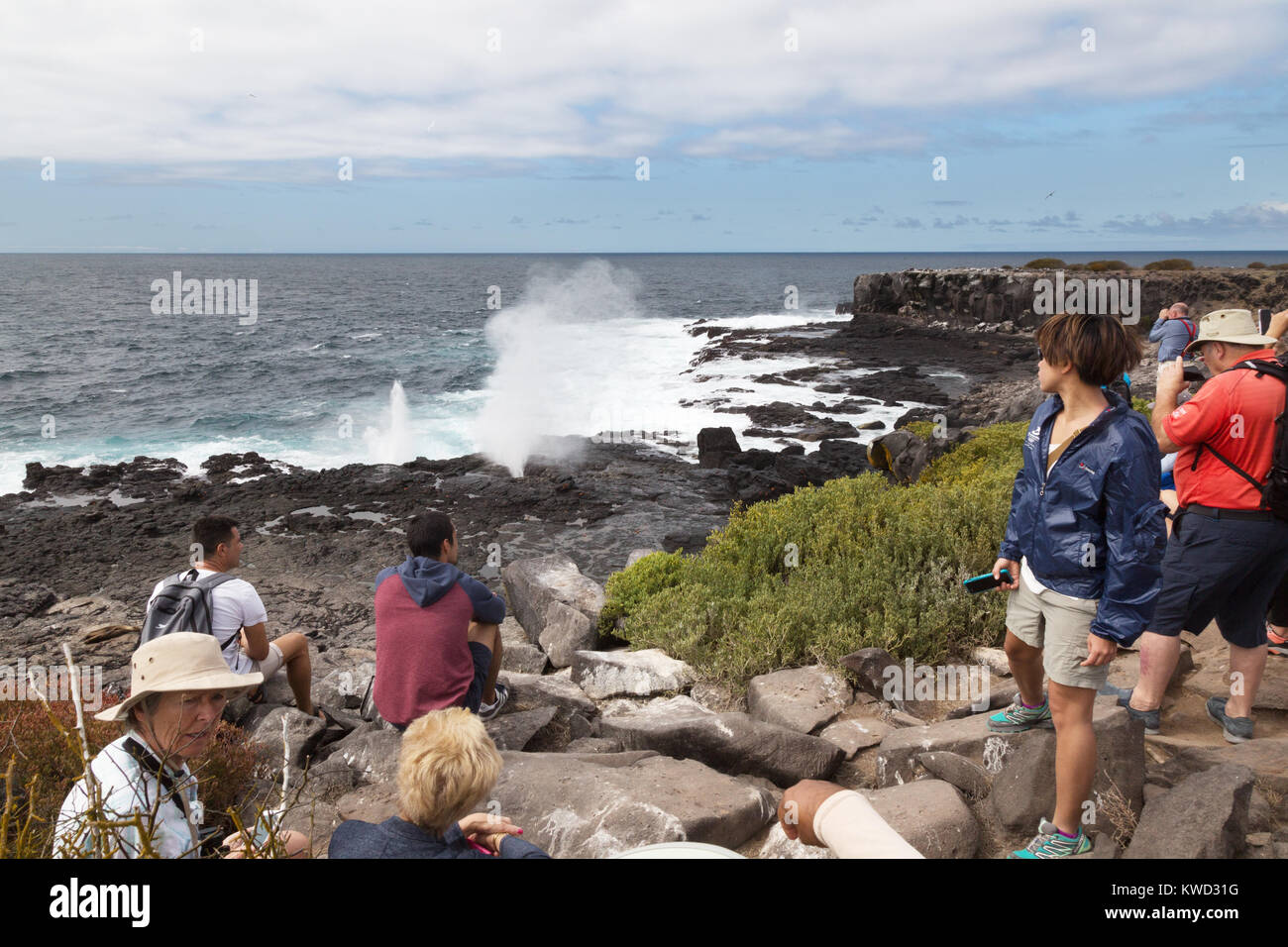 A group of tourists looking at a blowhole, Punta Suarez, Espanola ...
