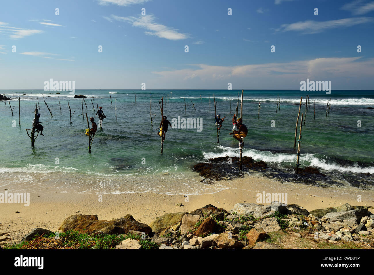 GALLE, SRI LANKA - 02 MARCH 2015: Fishermen on stilts trying to catch a ...