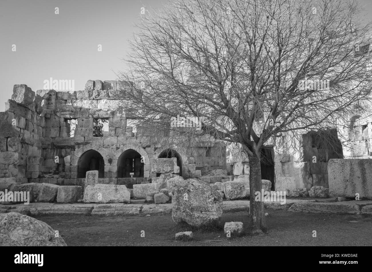 Temple of baco. Ruins of Baalbek. Ancient city of Phenicia located in ...