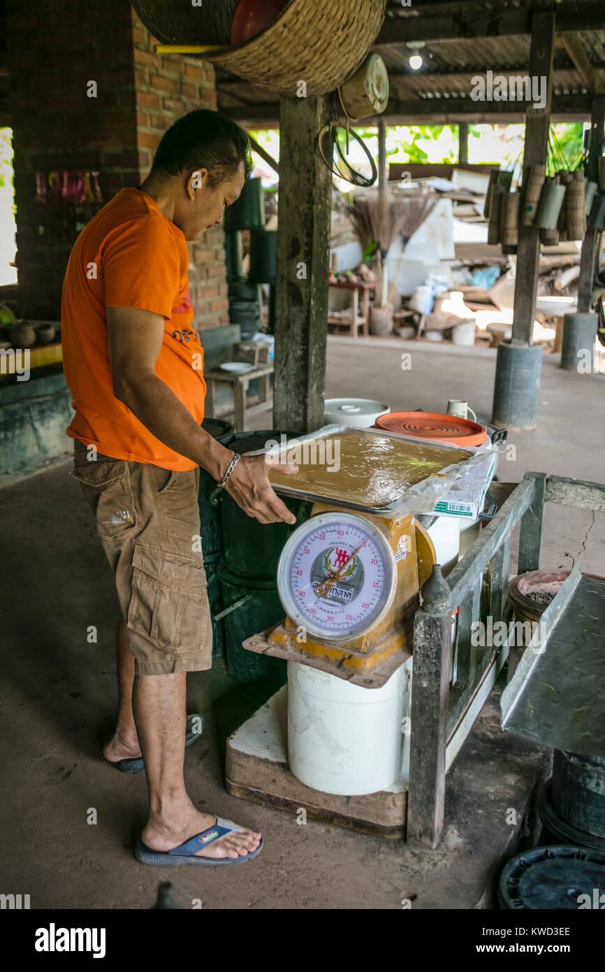 Thai worker weighing evaporated coconut sugar syrup at plantation ...