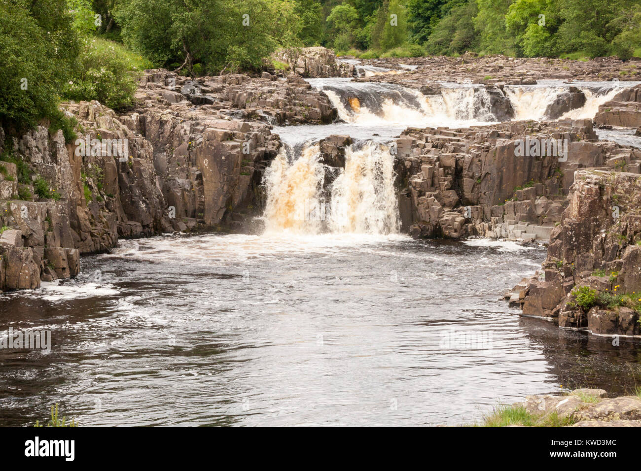 Low Force waterfalls,England,UK Stock Photo - Alamy
