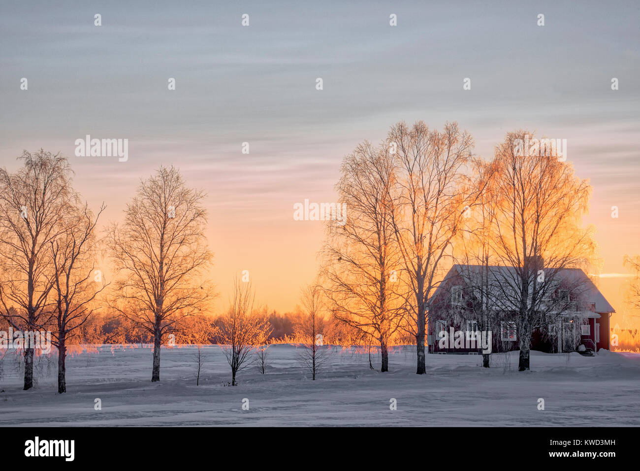 Swedish red cottage hi-res stock photography and images - Alamy