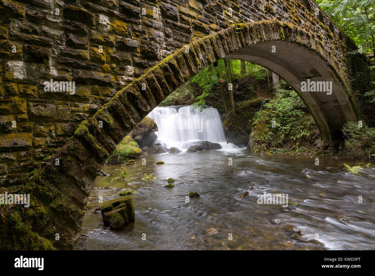 Under the waterfall in Whatcom Falls Park in Bellingham Washington ...