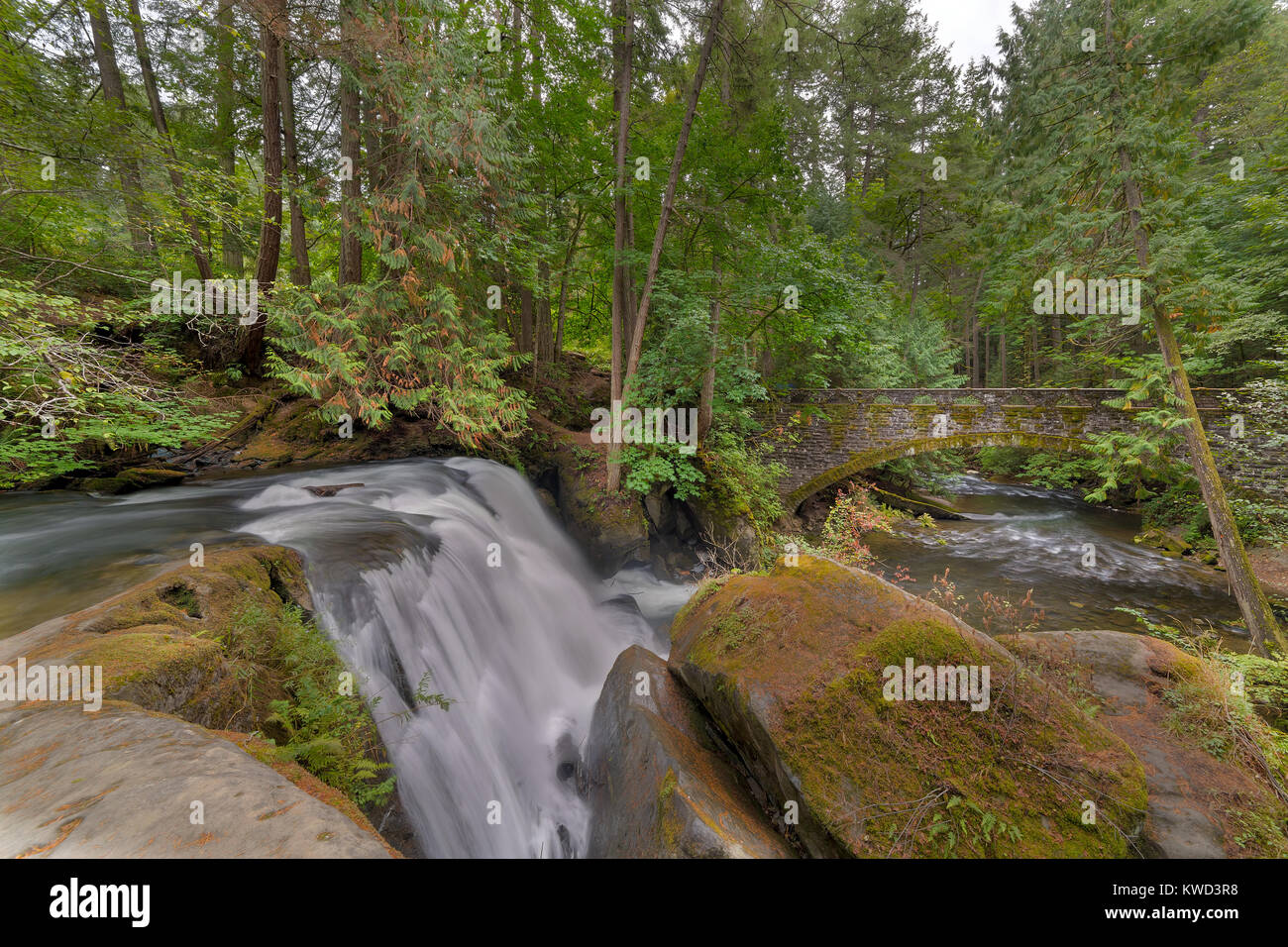 Beside the waterfall in Whatcom Falls Park in Bellingham Washington ...