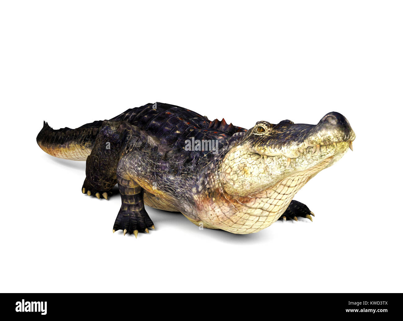 Reptile crocodile Cut Out Stock Images & Pictures - Alamy