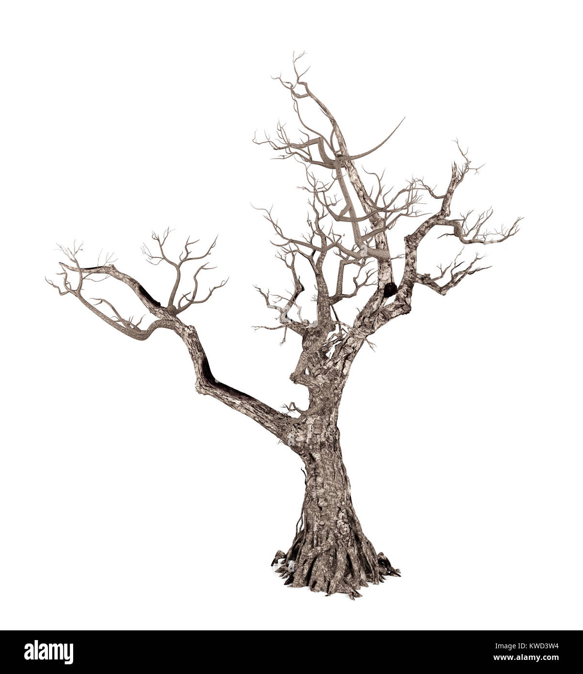 Dead tree isolated on white background, 3D rendering Stock Photo - Alamy