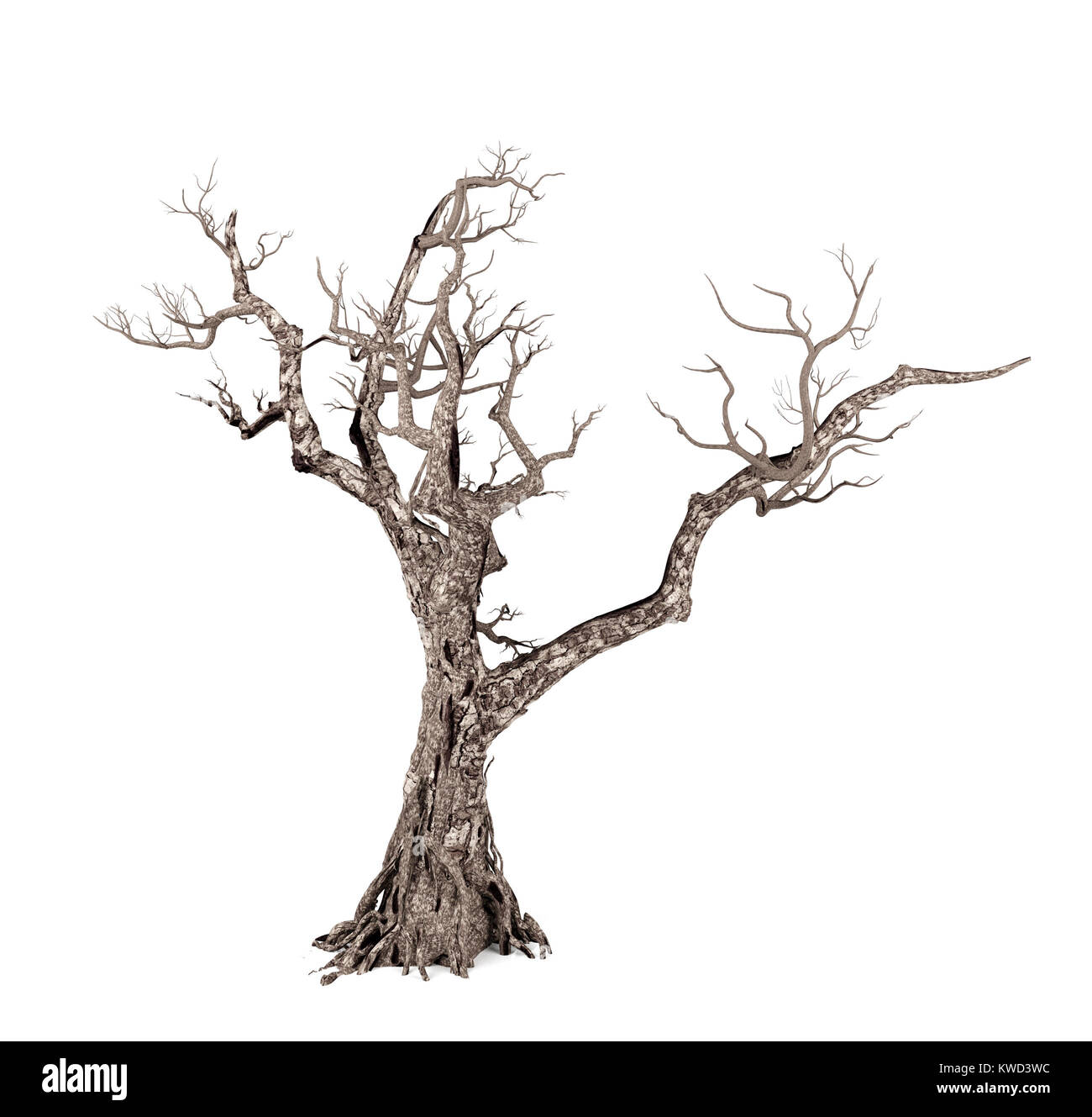 Dead tree isolated on white background, 3D rendering Stock Photo - Alamy