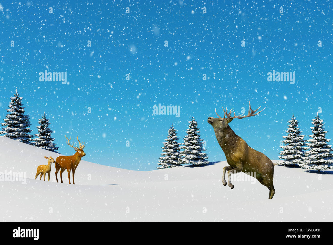 Snow falling arctic hi-res stock photography and images - Alamy