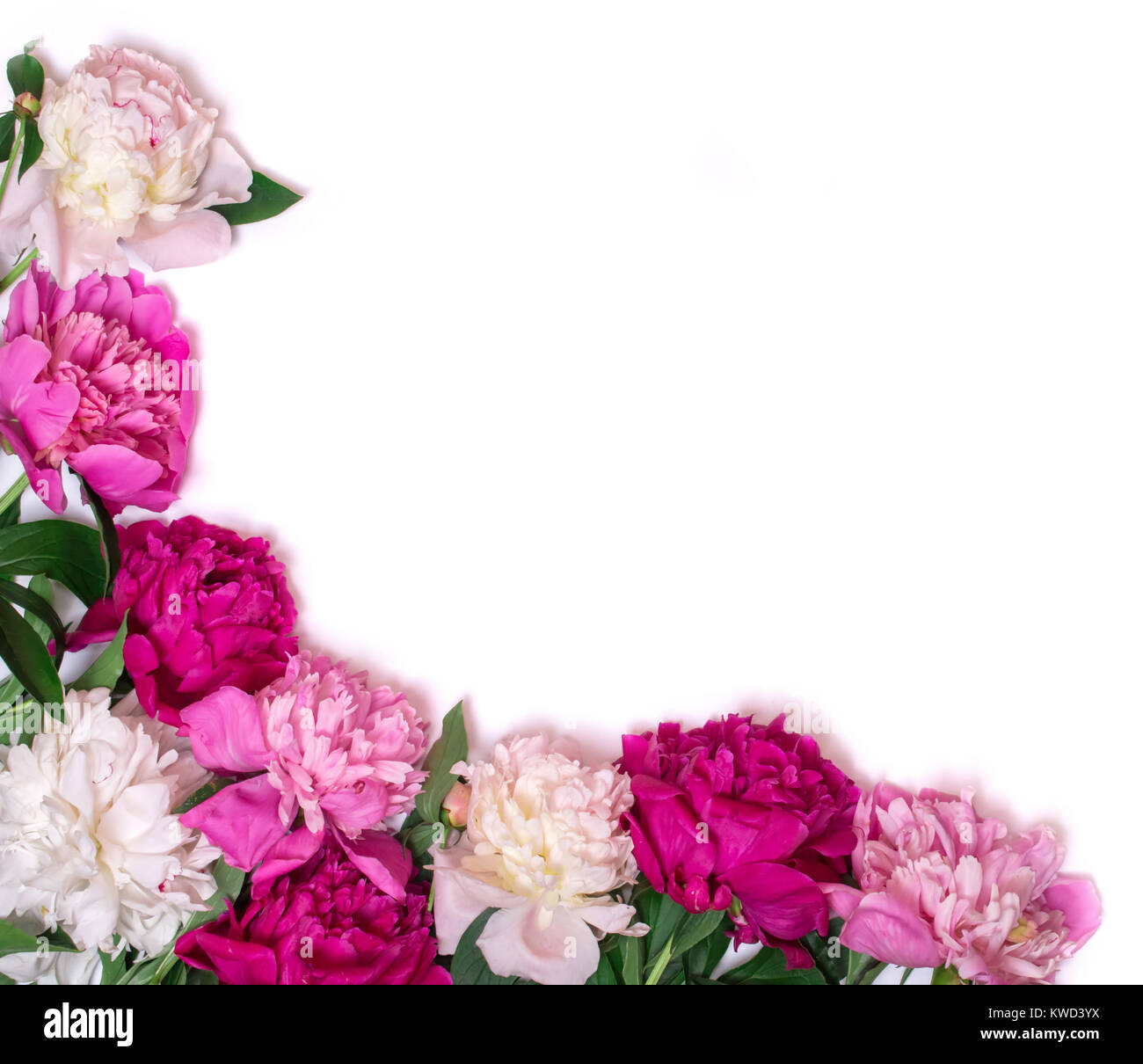 Pink Floral Corner Designs