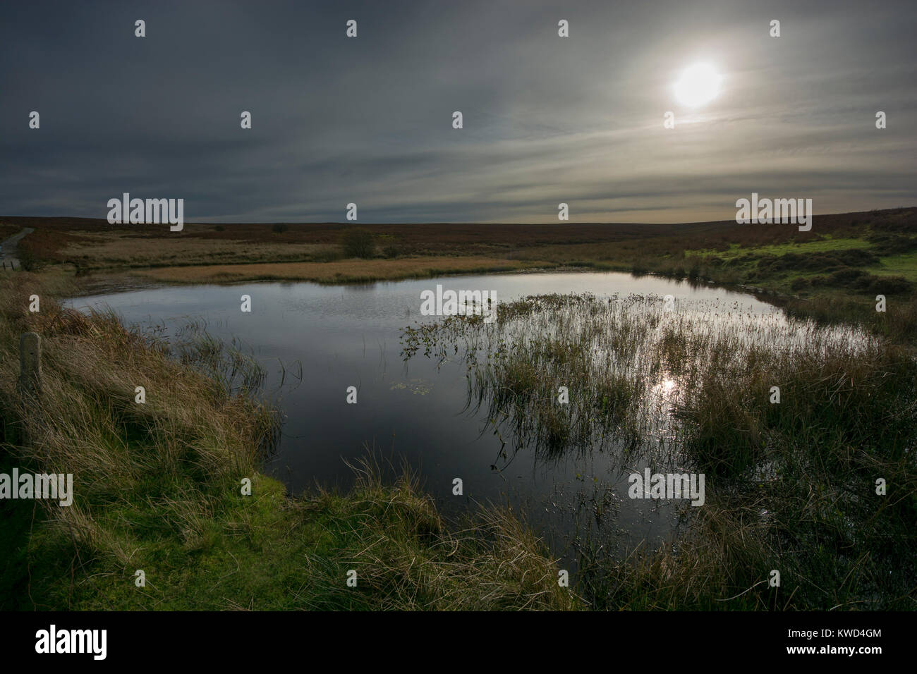 Moor pool hi-res stock photography and images - Alamy