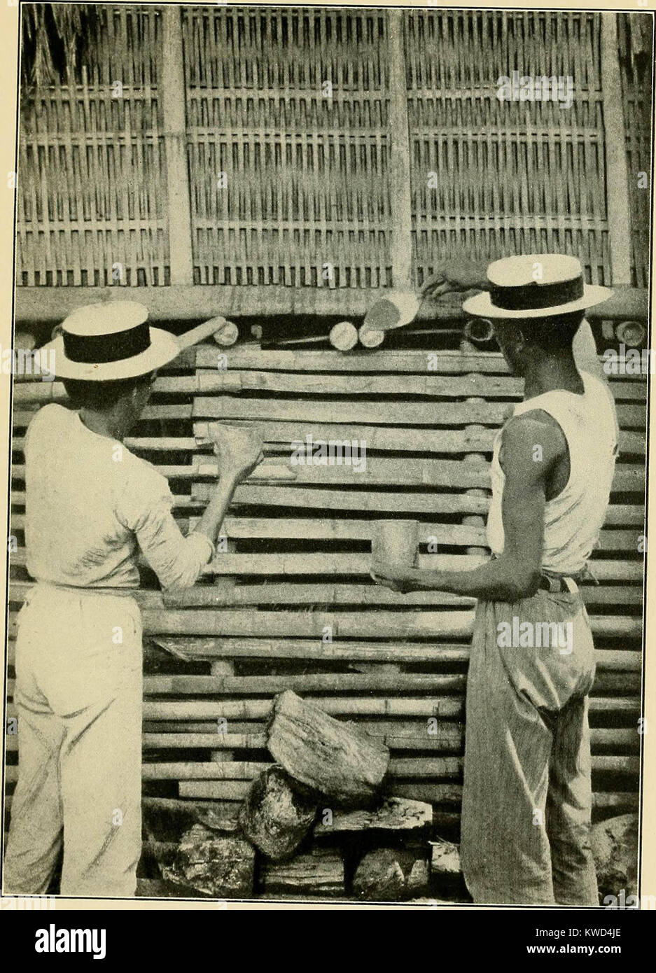 "Plague; its cause and the manner of its extension, its menace, its ...