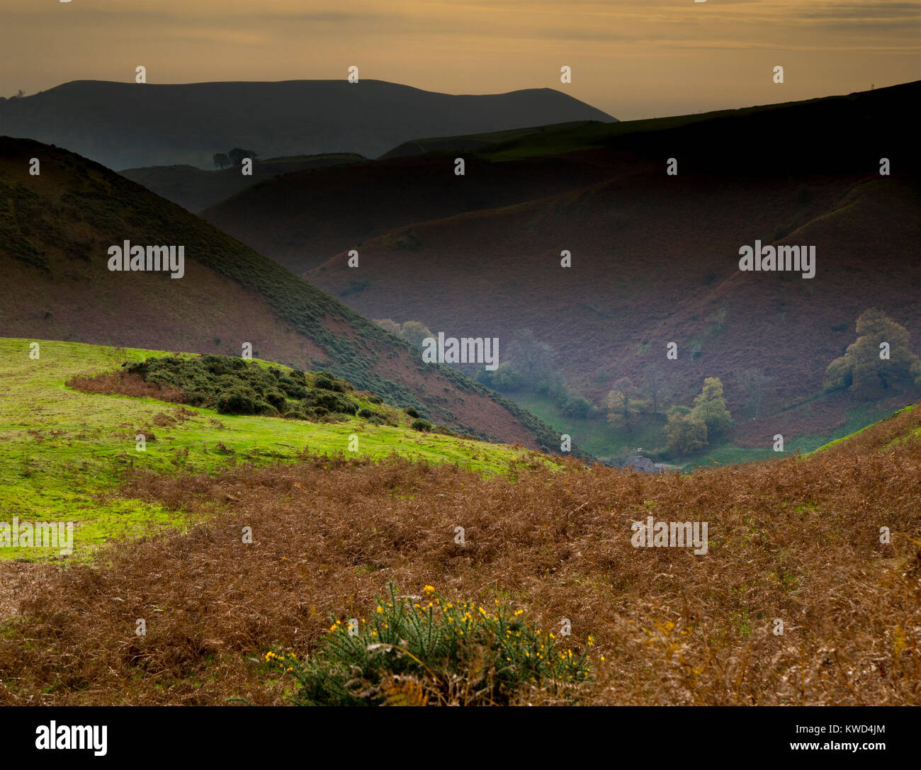 Jonathans hollow valley, the batch valley, The Long Mynd, heath ...