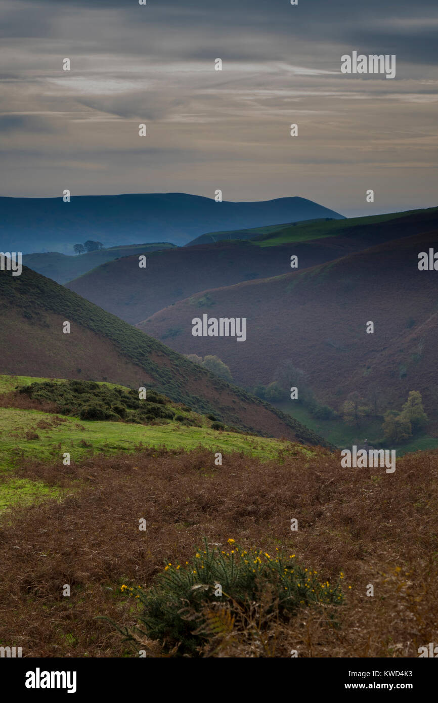 Jonathans hollow valley, the batch valley, The Long Mynd, heath ...