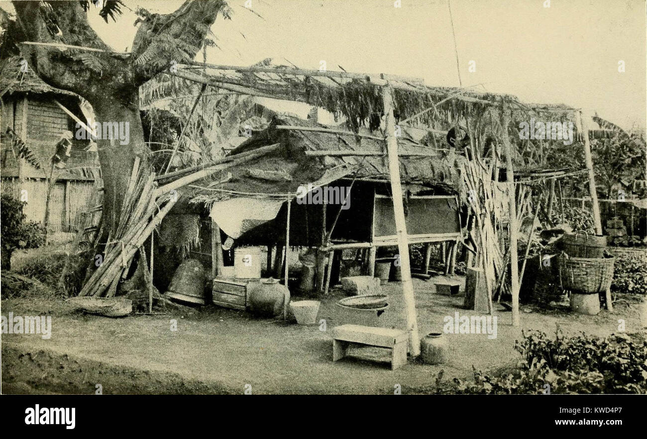 "Plague; its cause and the manner of its extension, its menace, its ...