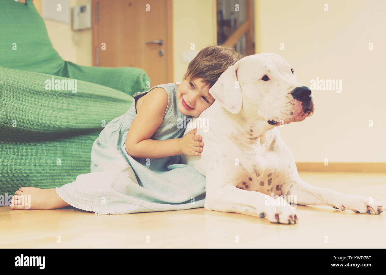 Happy cute little girl hugging white dog at home Stock Photo - Alamy